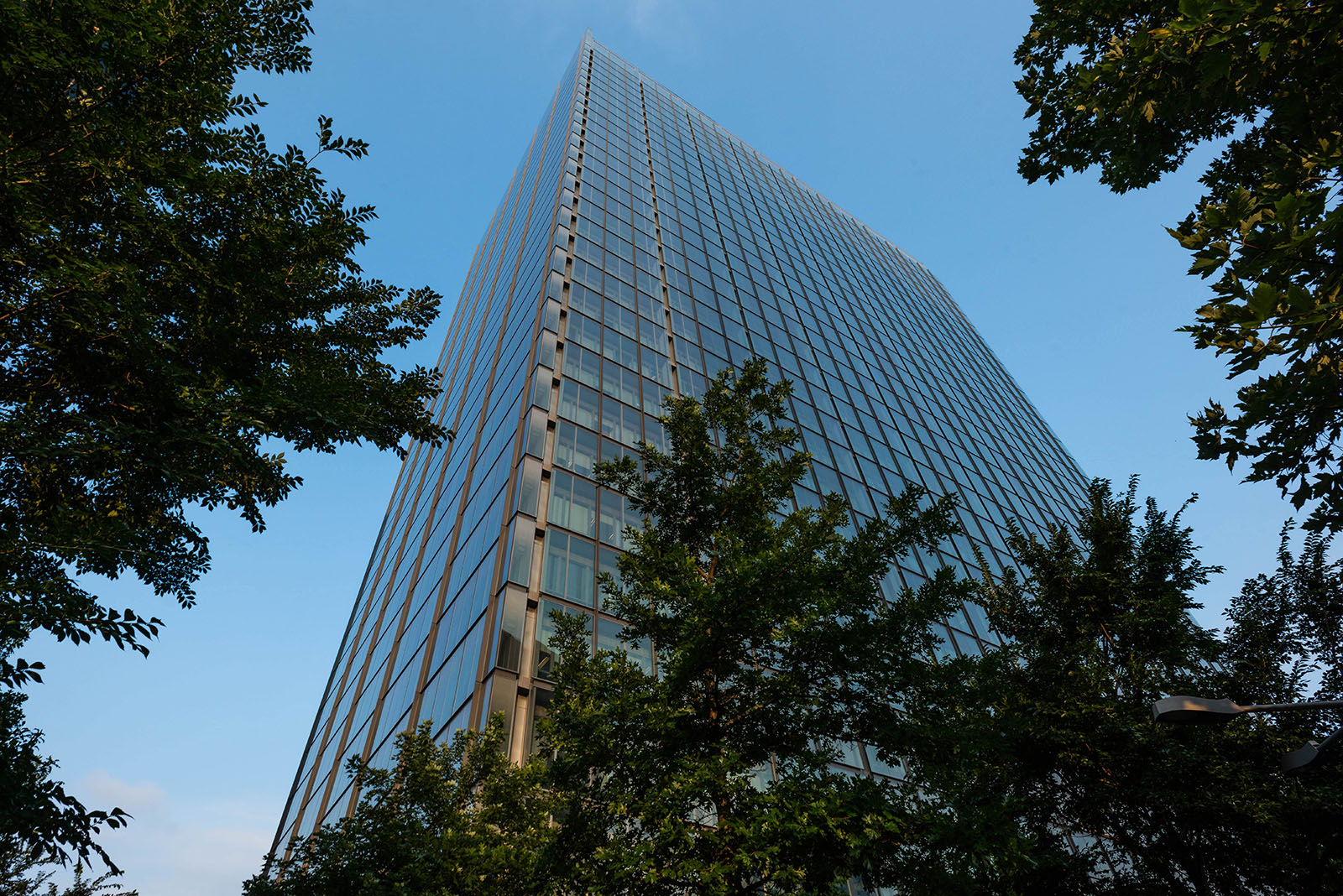 Interactive Design Architects